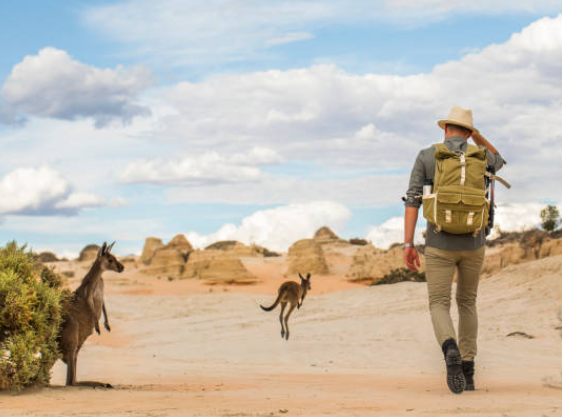Where to See Australian Wildlife in the Wild | Educonnect